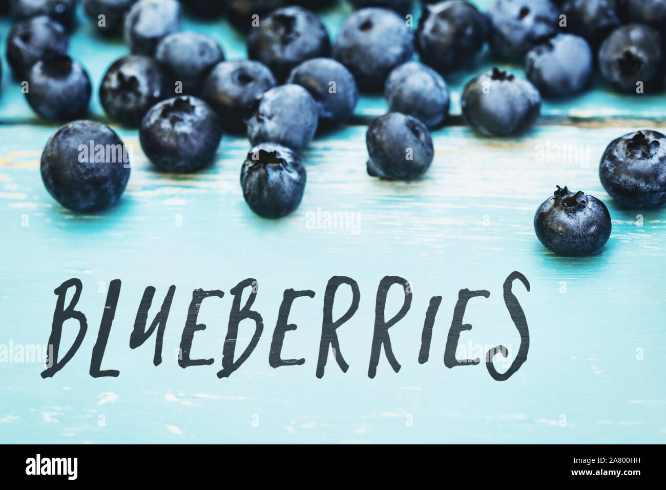 Fresh and raw Vaccinium corymbosum, with english word Blueberries Stock ...