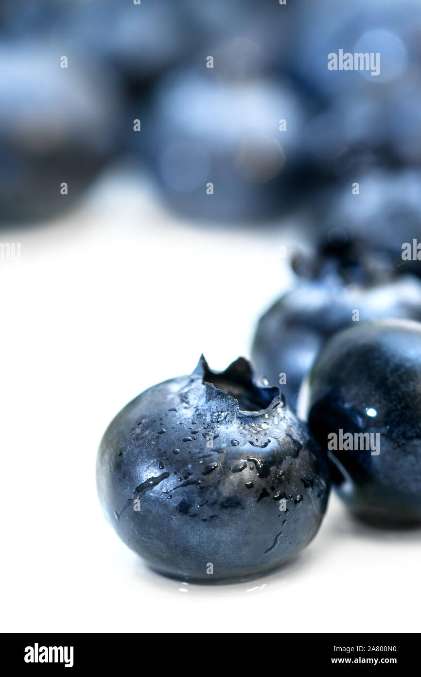 Blue berries white background hi-res stock photography and images - Alamy