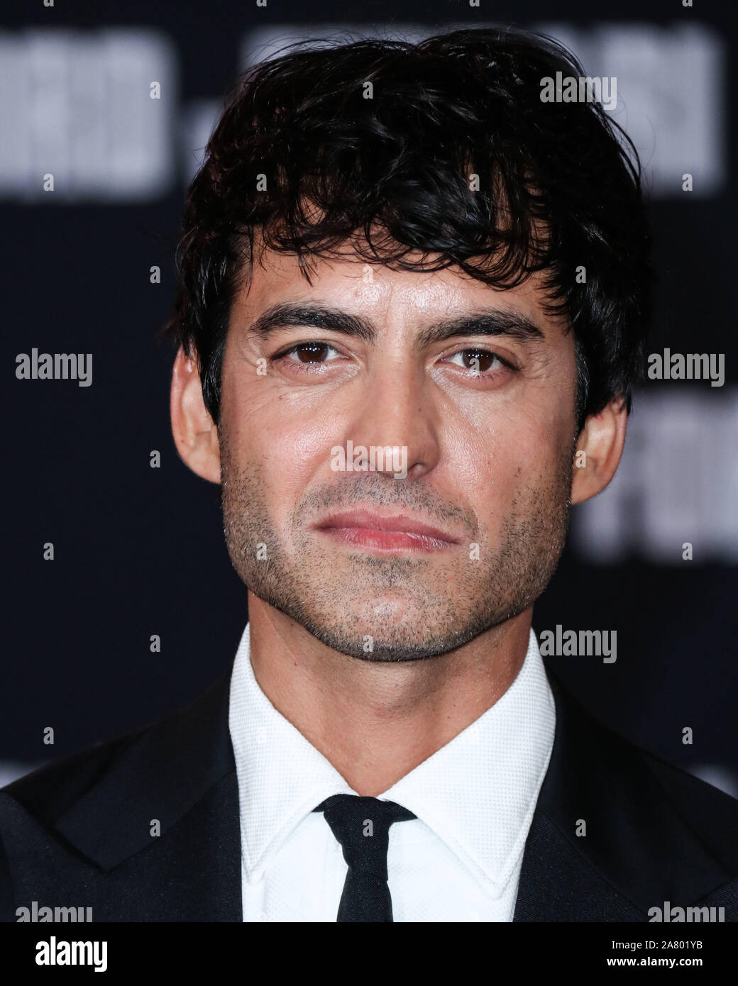 HOLLYWOOD, LOS ANGELES, CALIFORNIA, USA - NOVEMBER 04: Actor Francesco ...