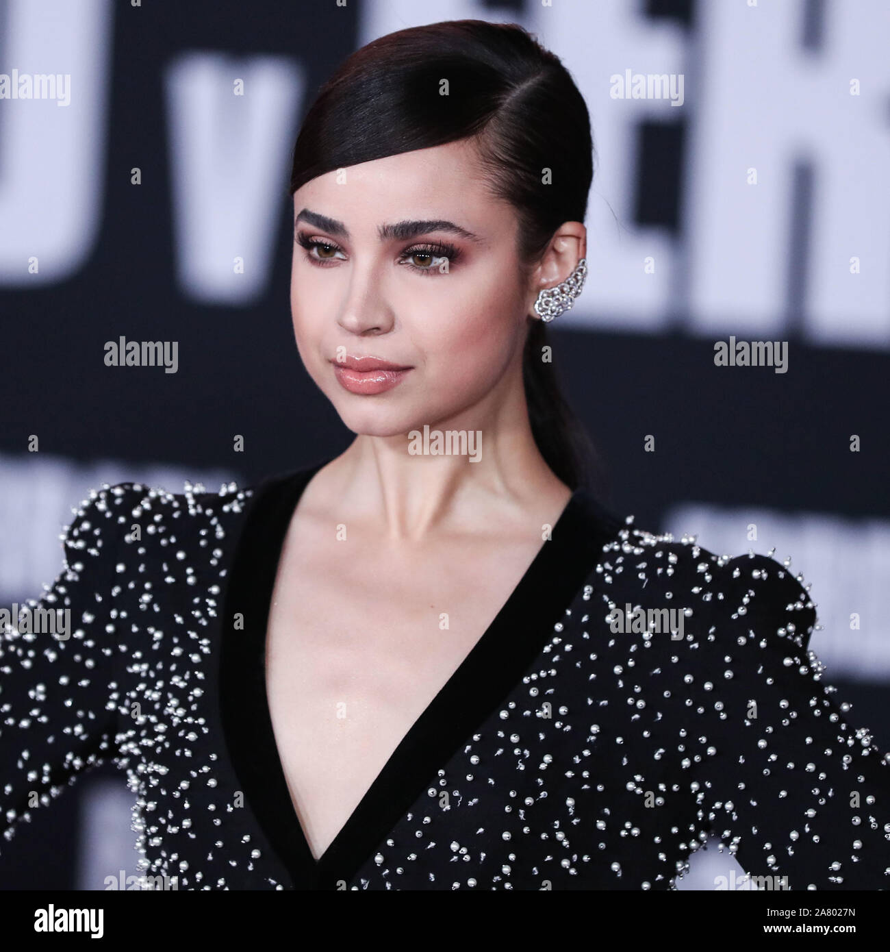 HOLLYWOOD, LOS ANGELES, CALIFORNIA, USA - NOVEMBER 04: Actress Sofia ...