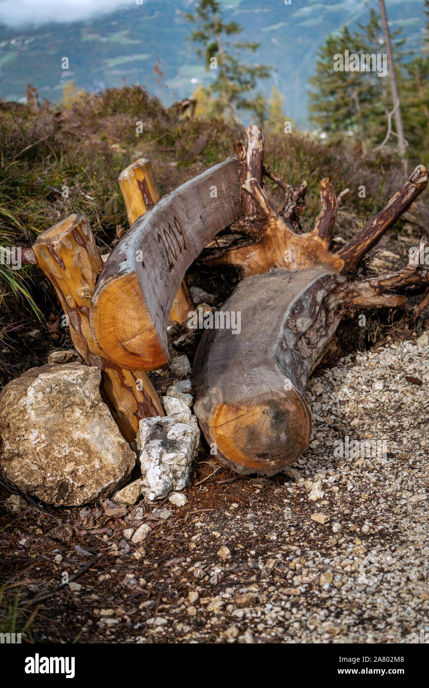 A very special wooden bench made from a tree trunk with the roots still ...