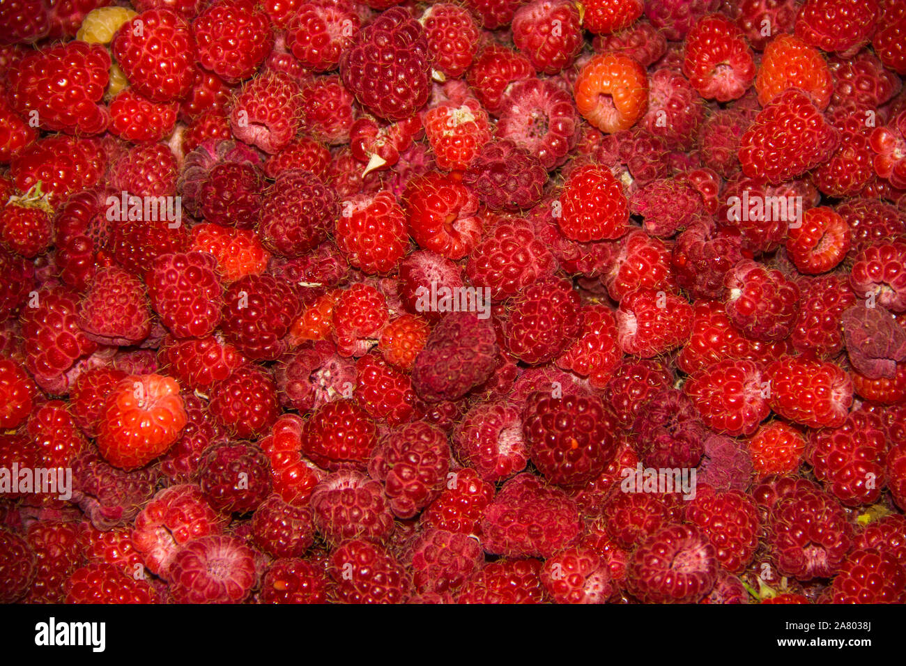 Wallpaper raspberries hi-res stock photography and images - Alamy