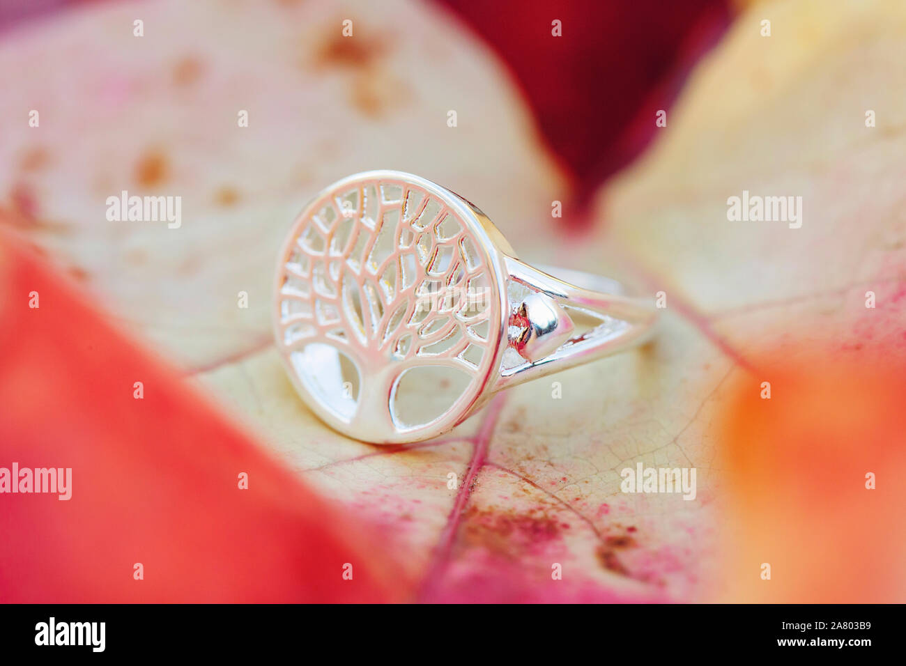 Sterling silver tree shape ring detail on natural Autumn background ...