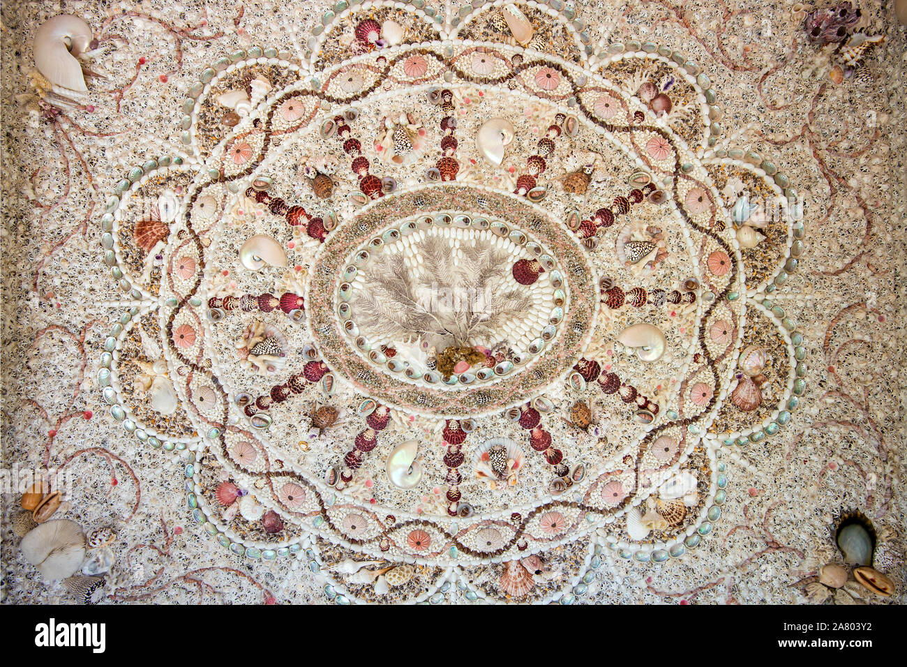 Sea shell floor Stock Photo - Alamy