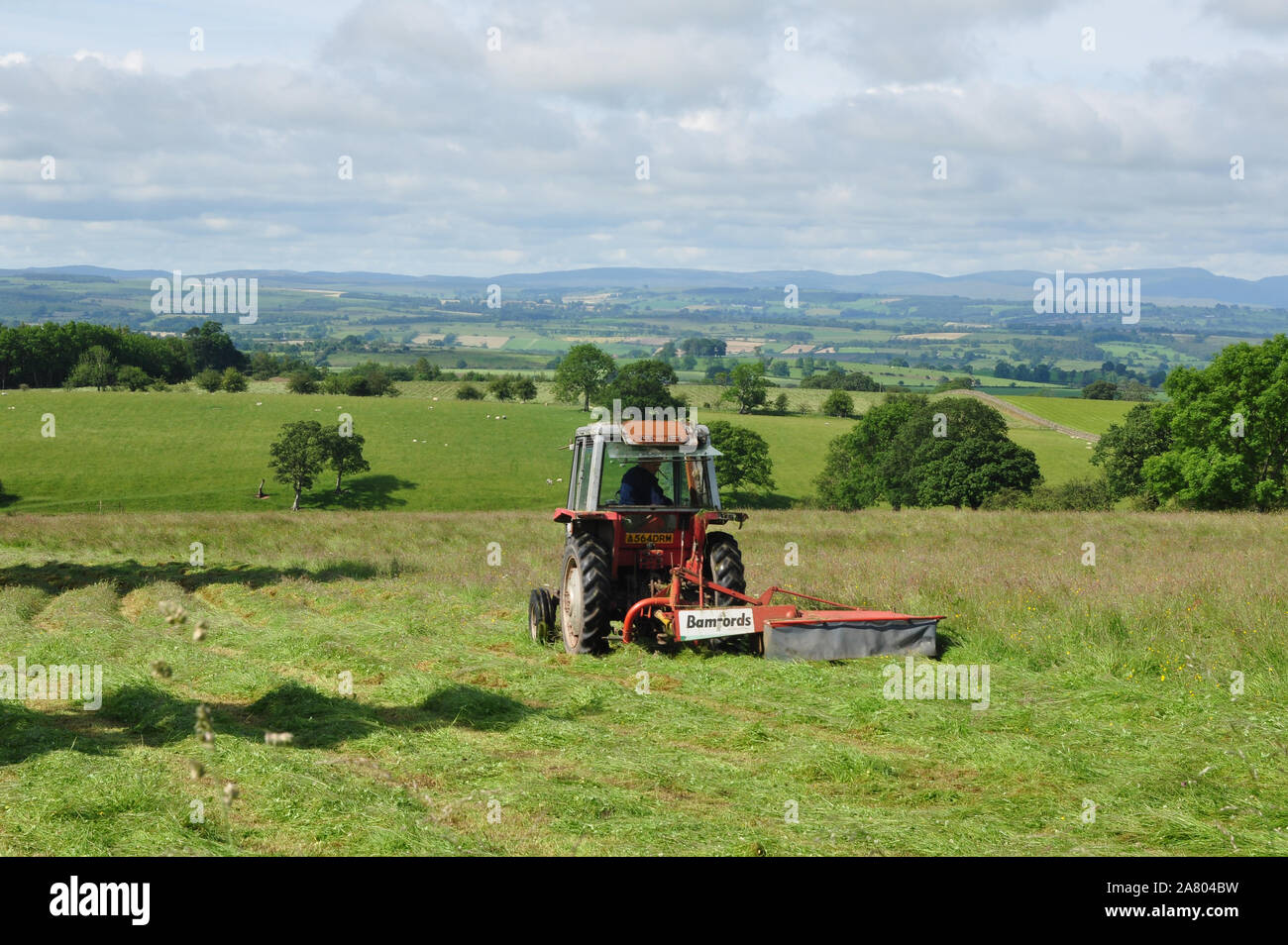 Cutting grass for hay, hay making Stock Photo - Alamy