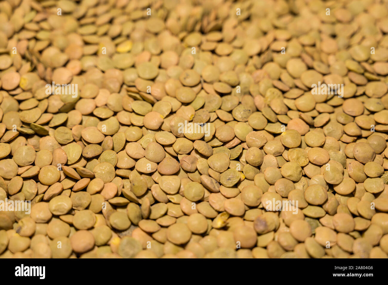 Closeup lentils seeds as natural background. Selective focus Stock ...