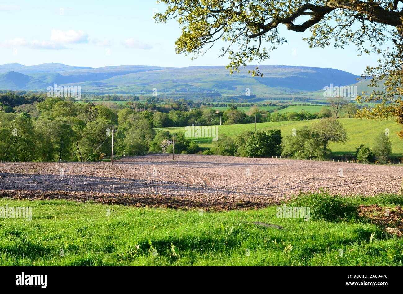 Lime for farming hi-res stock photography and images - Alamy