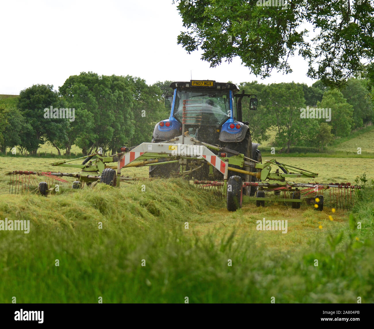 Tractor gathering up hay for baling Stock Photo - Alamy