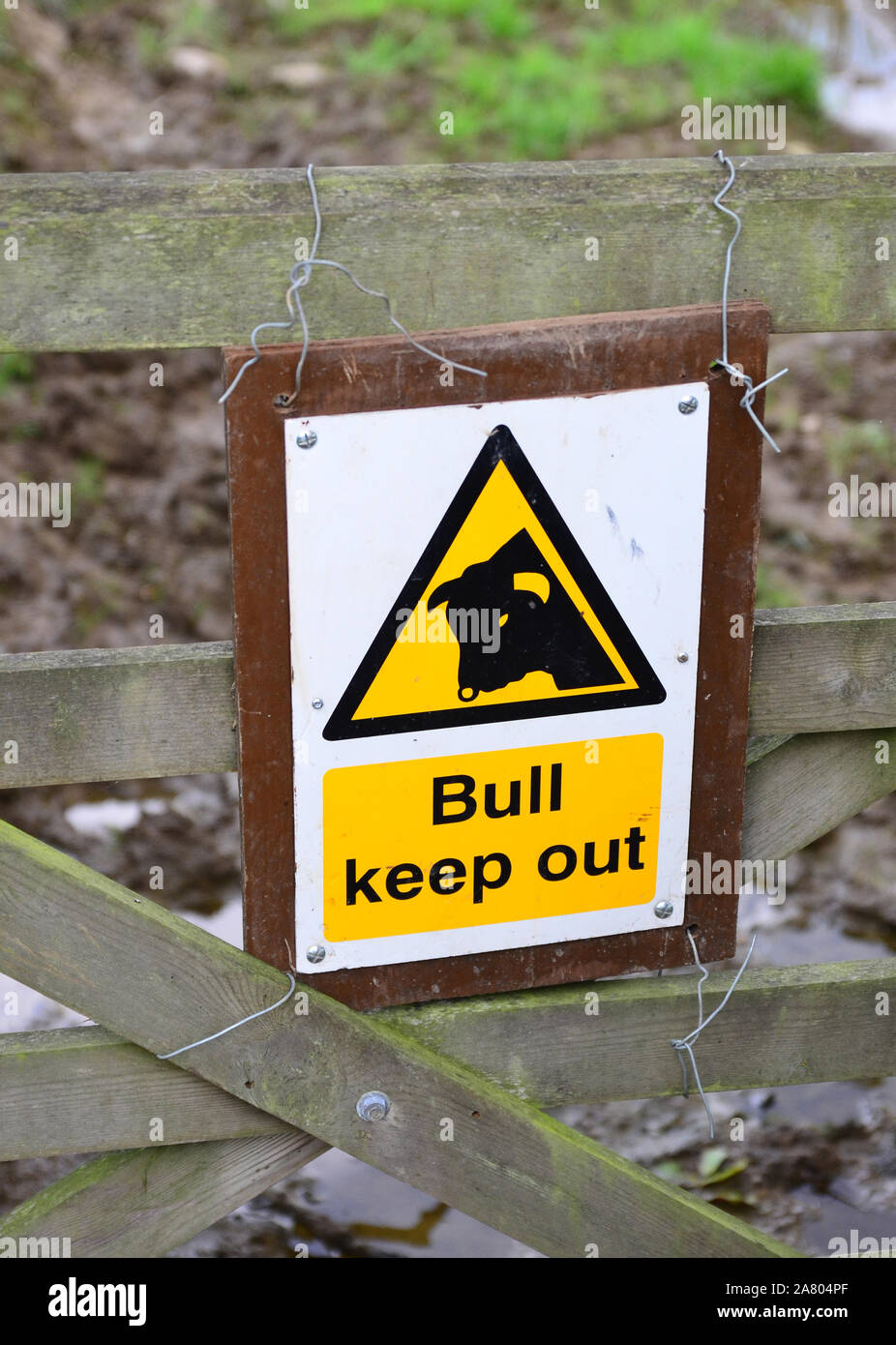 'Bull keep out" sign on gate Stock Photo - Alamy