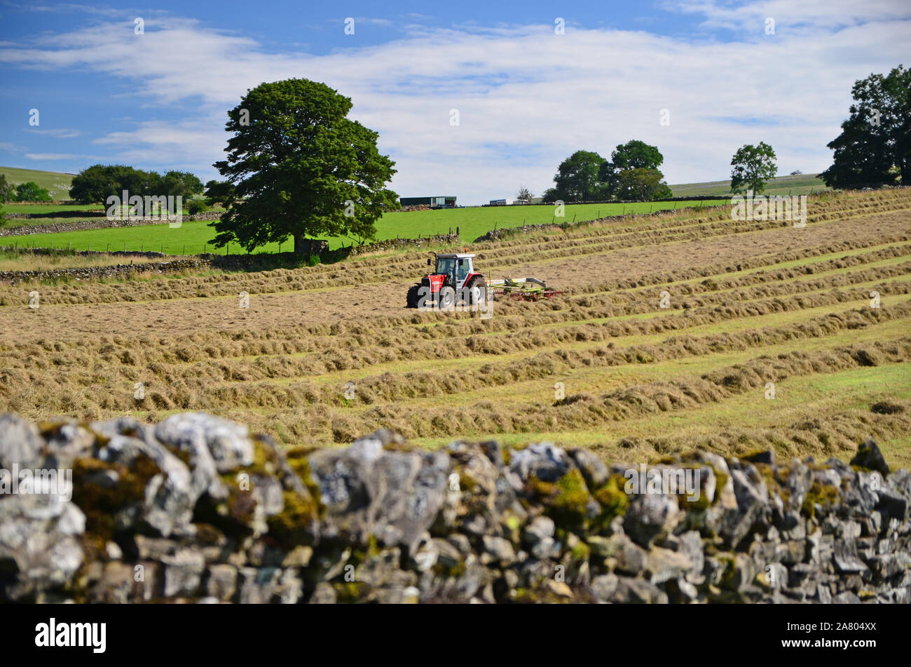 Farmer turning hay in hi-res stock photography and images - Alamy
