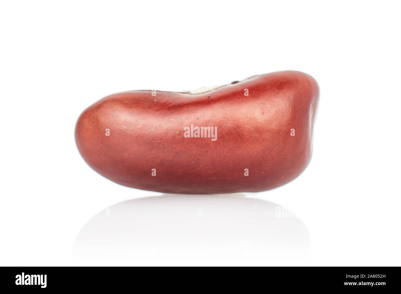 One whole fresh red kidney beans isolated on white background Stock ...