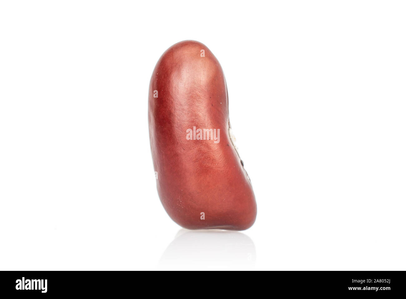 One whole fresh red kidney beans isolated on white background Stock ...