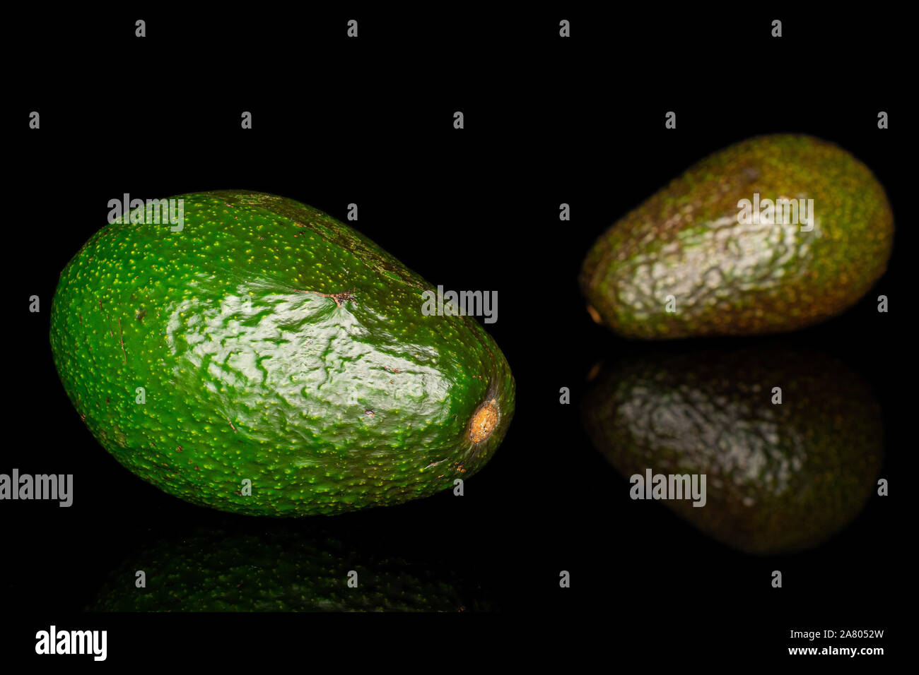 Prominent avocado fruit hi-res stock photography and images - Alamy