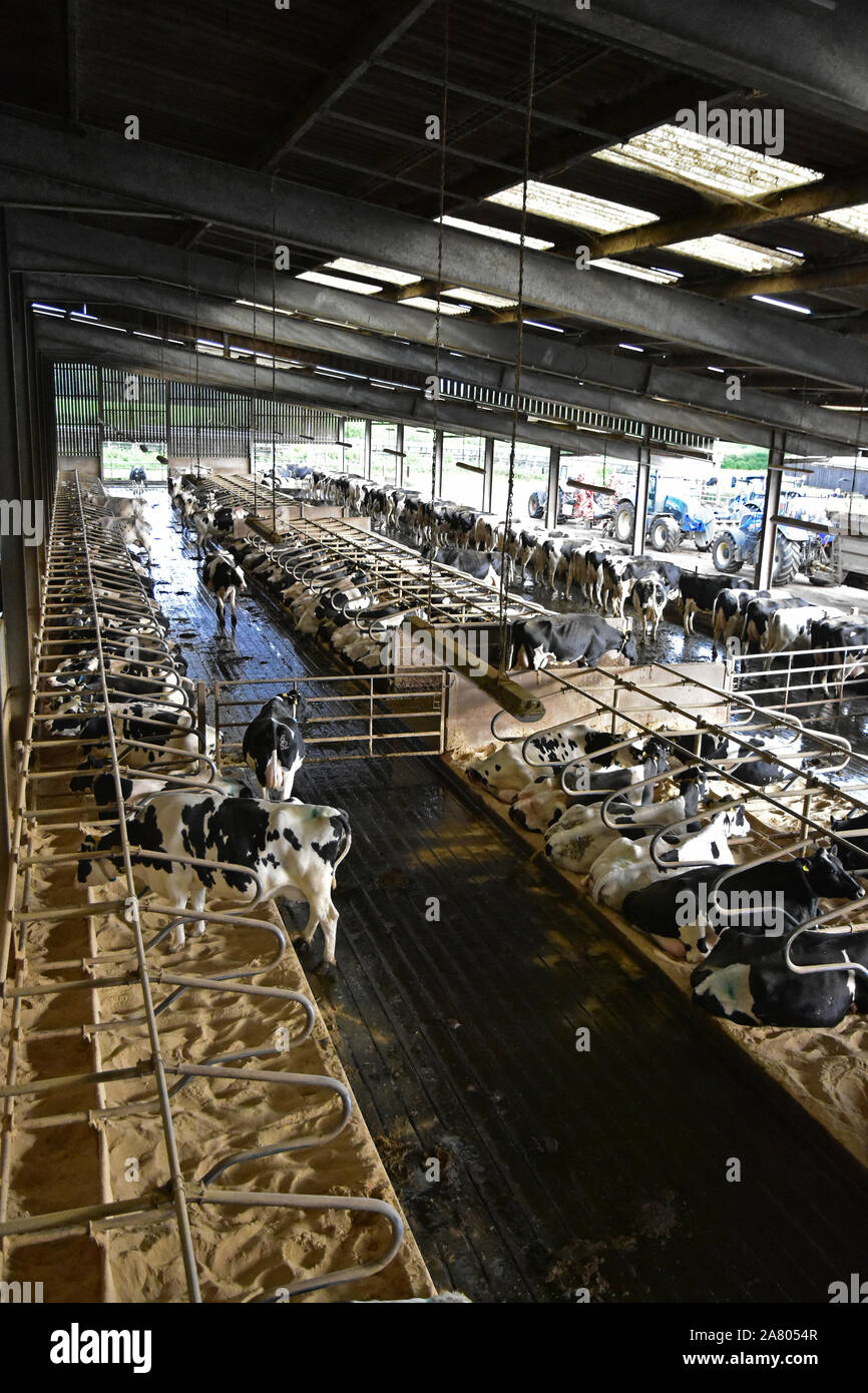 Factory farming hi-res stock photography and images - Alamy