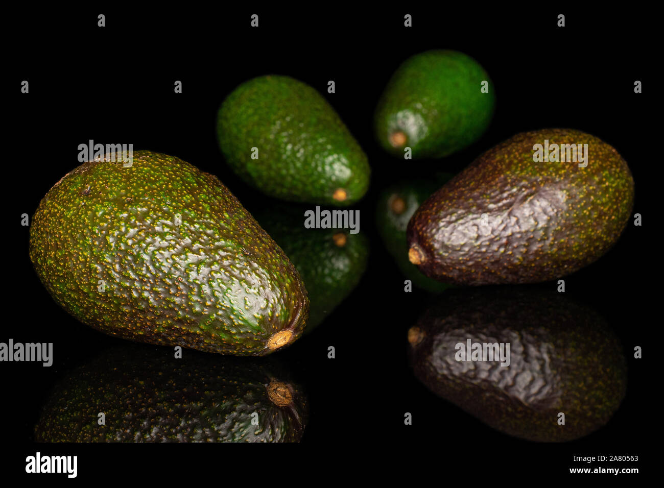 Prominent avocado fruit hi-res stock photography and images - Alamy