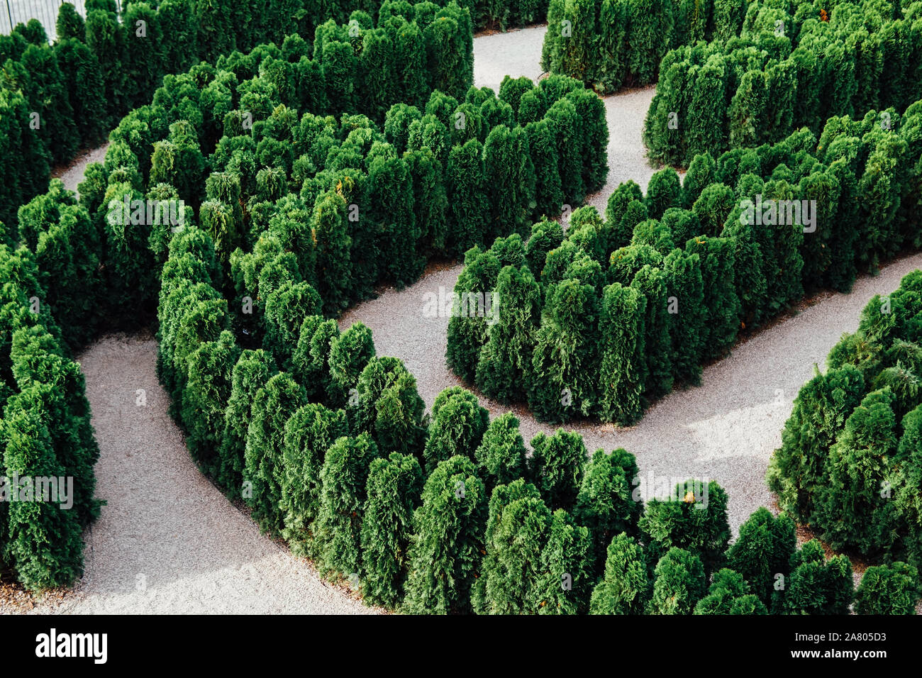 Garden paris maze hi-res stock photography and images - Alamy