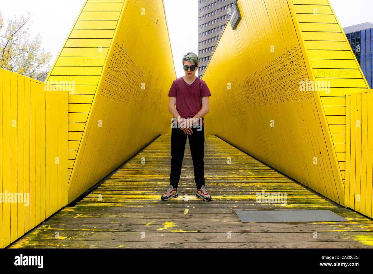 ROTTERDAM, NETHERLANDS, November 3 2019, The Belgian Influencer Jetter ...