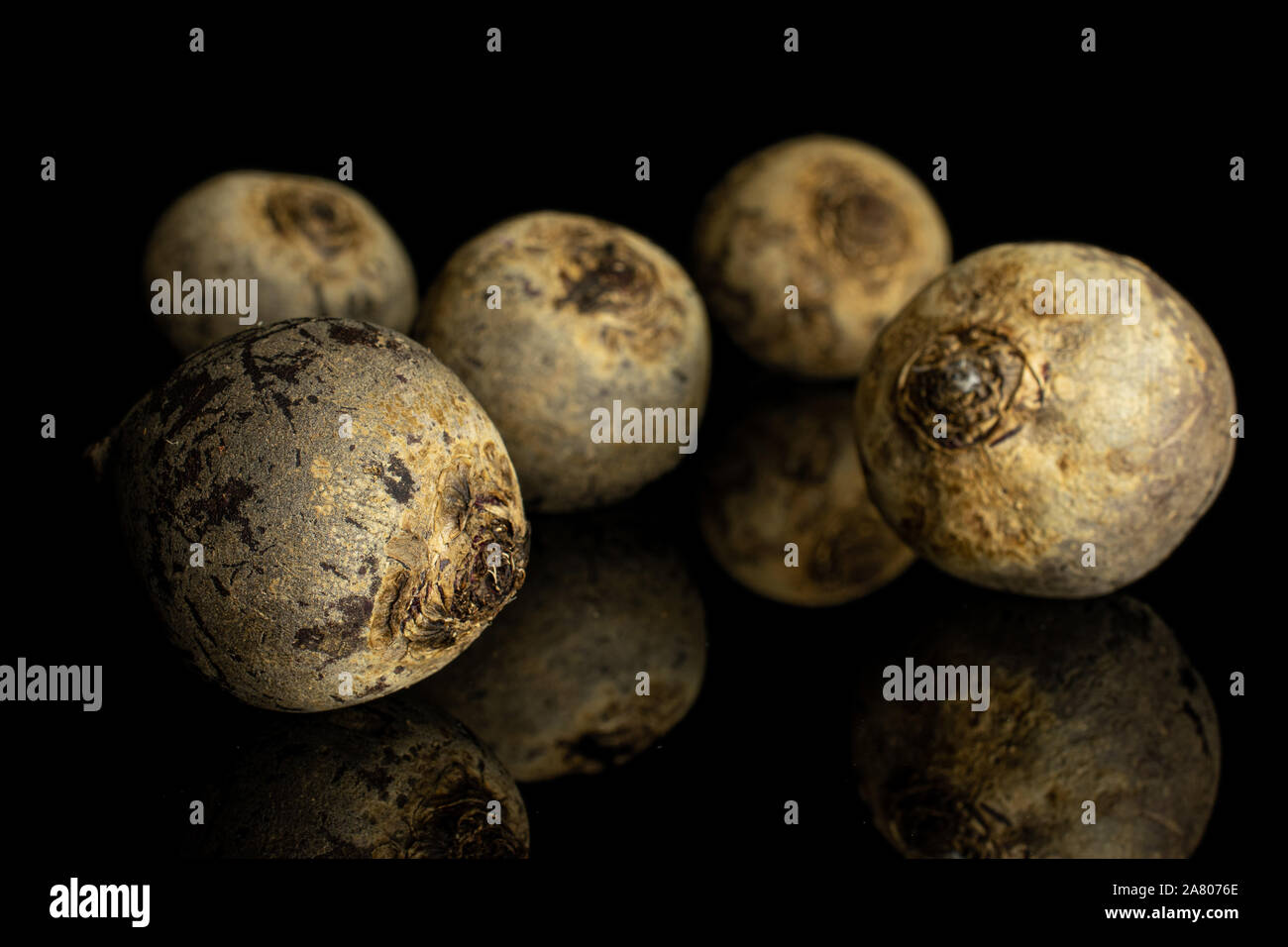 Prominent red root hi-res stock photography and images - Alamy