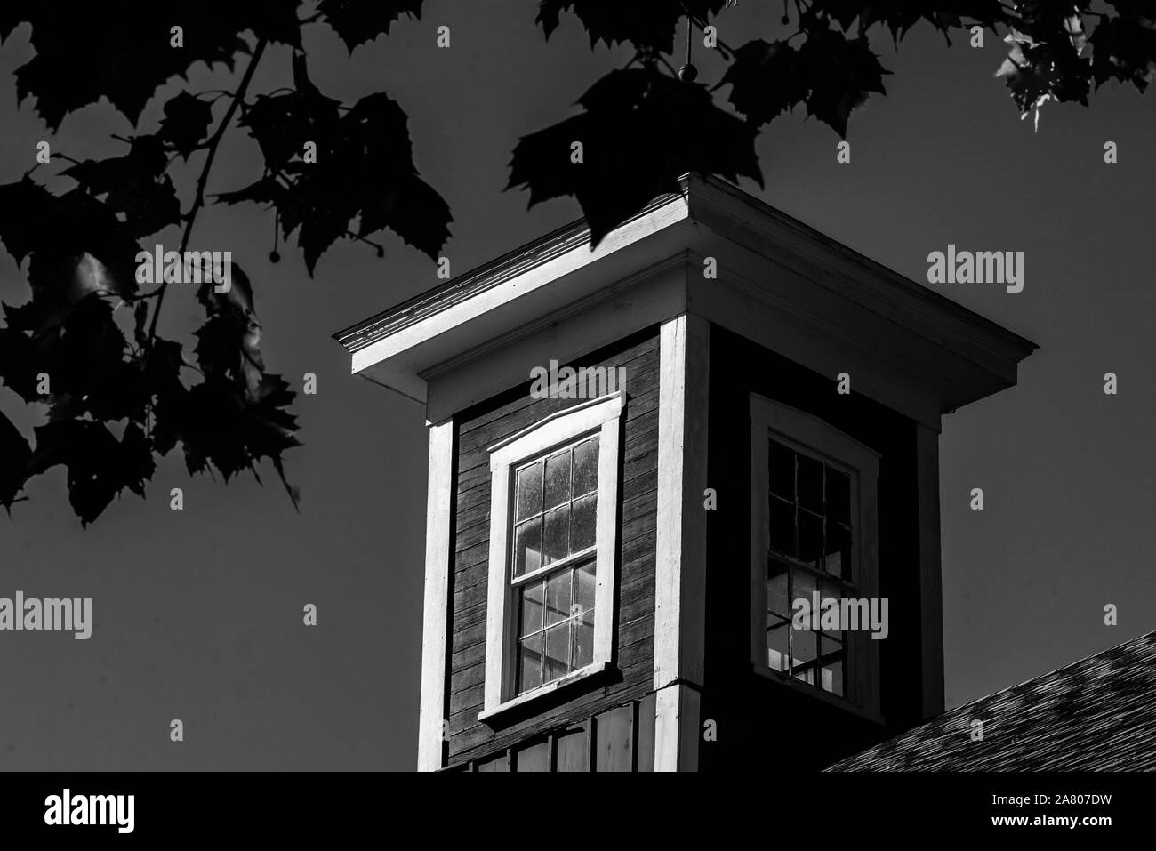 Sycamore tree and skylight hi-res stock photography and images - Alamy