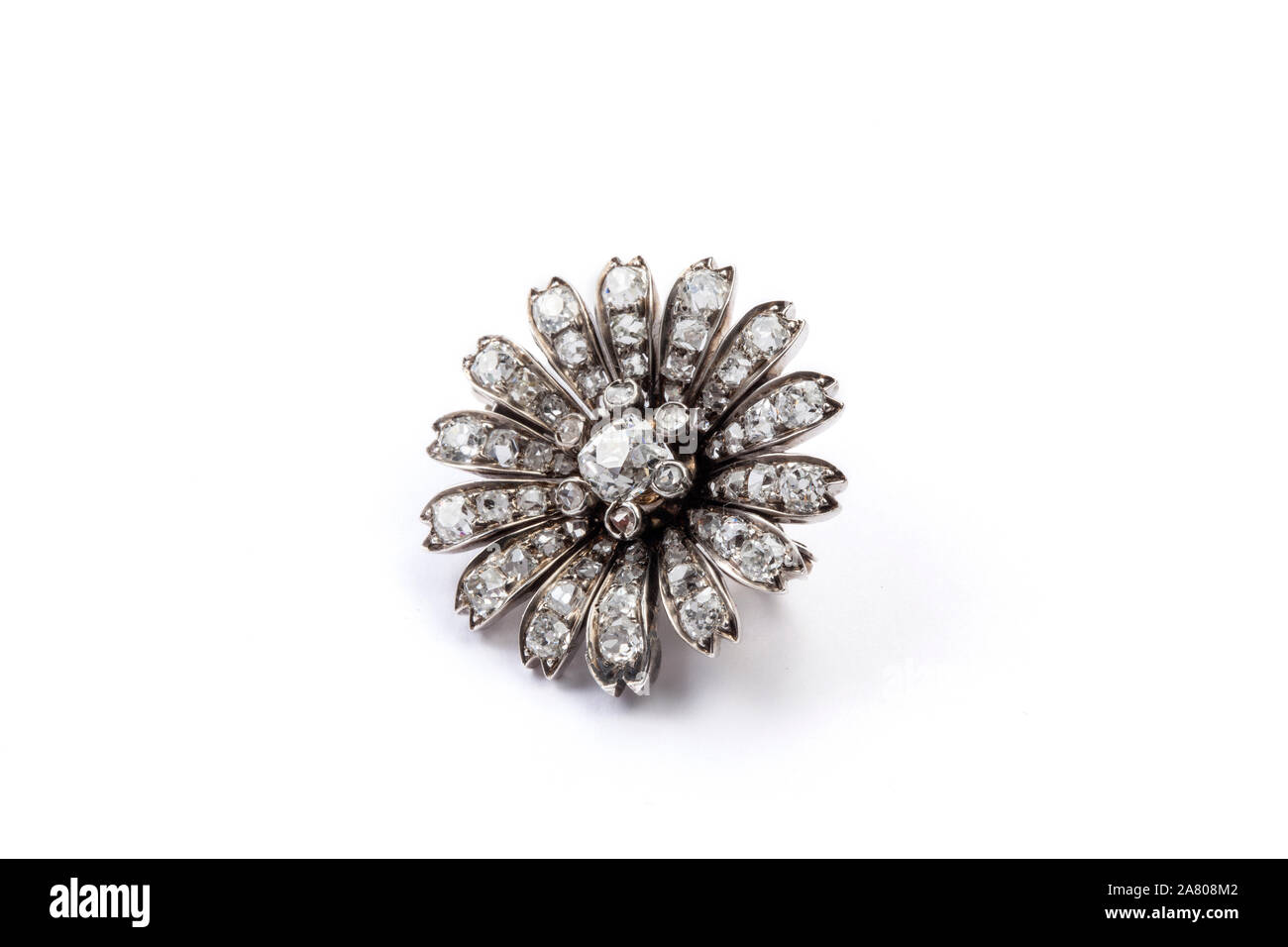 Daisy cluster hi-res stock photography and images - Alamy