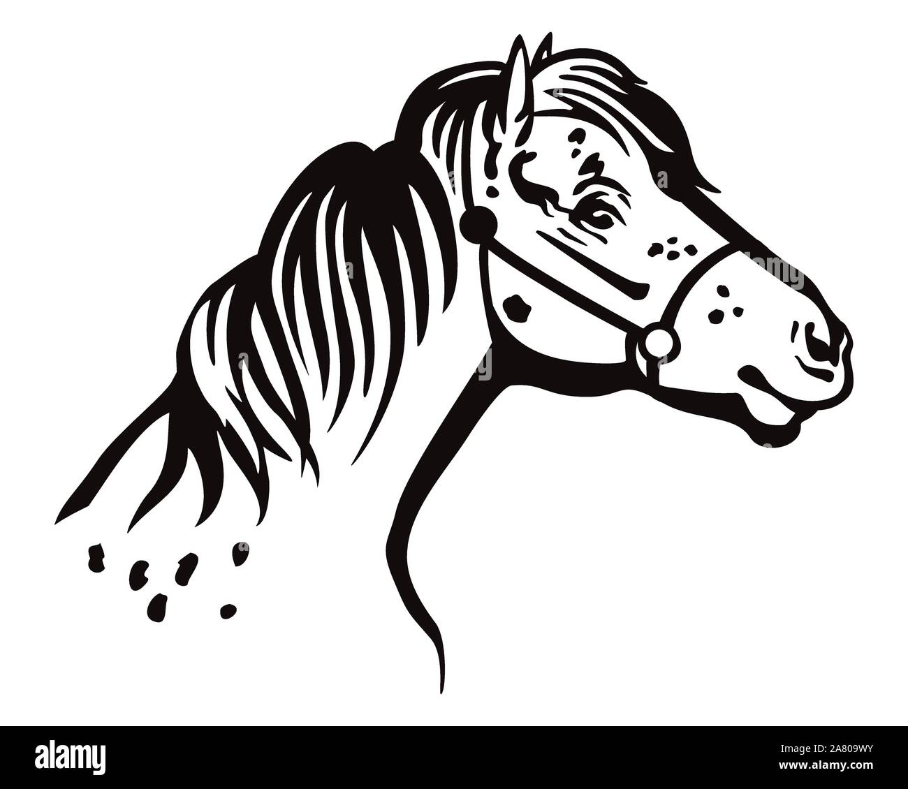 Monochrome decorative portrait in profile of pony in bridle, vector ...