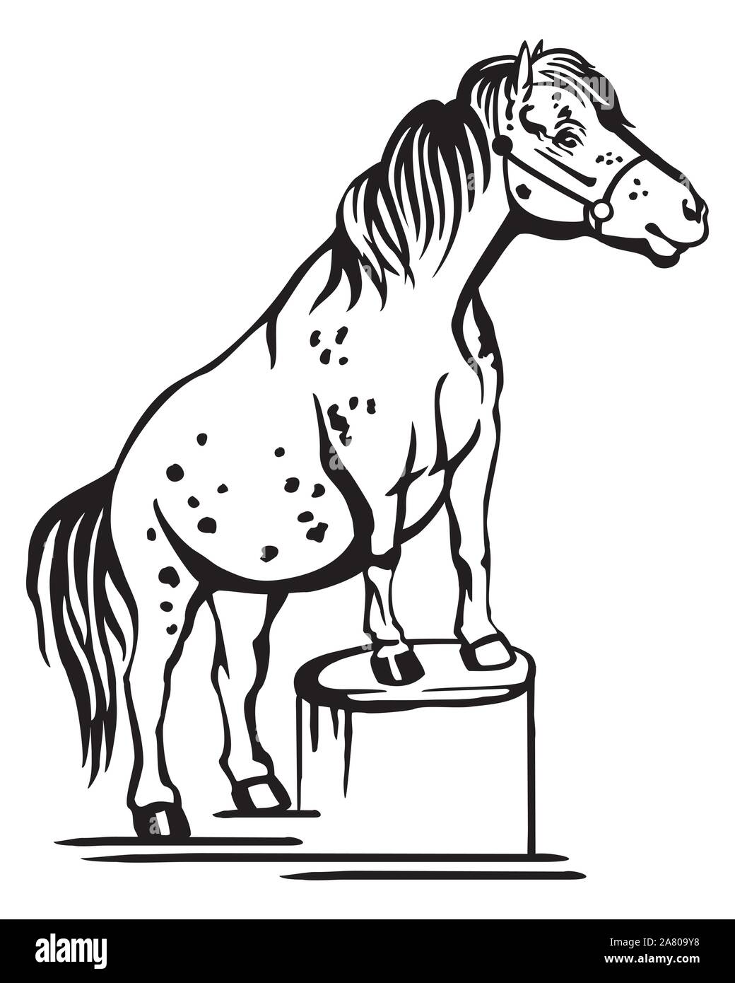 Monochrome decorative portrait of pony standing in profile on a stump ...