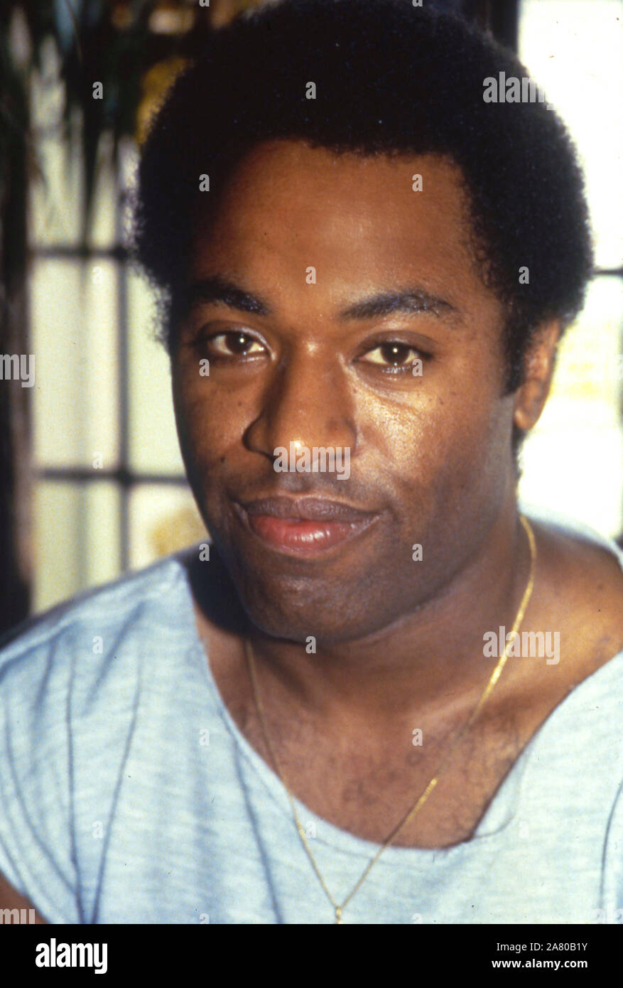 Stuart adamson big country hi-res stock photography and images - Alamy