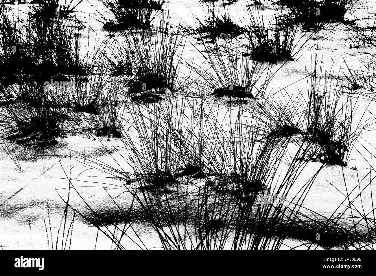 Dry climate effect Black and White Stock Photos & Images - Alamy