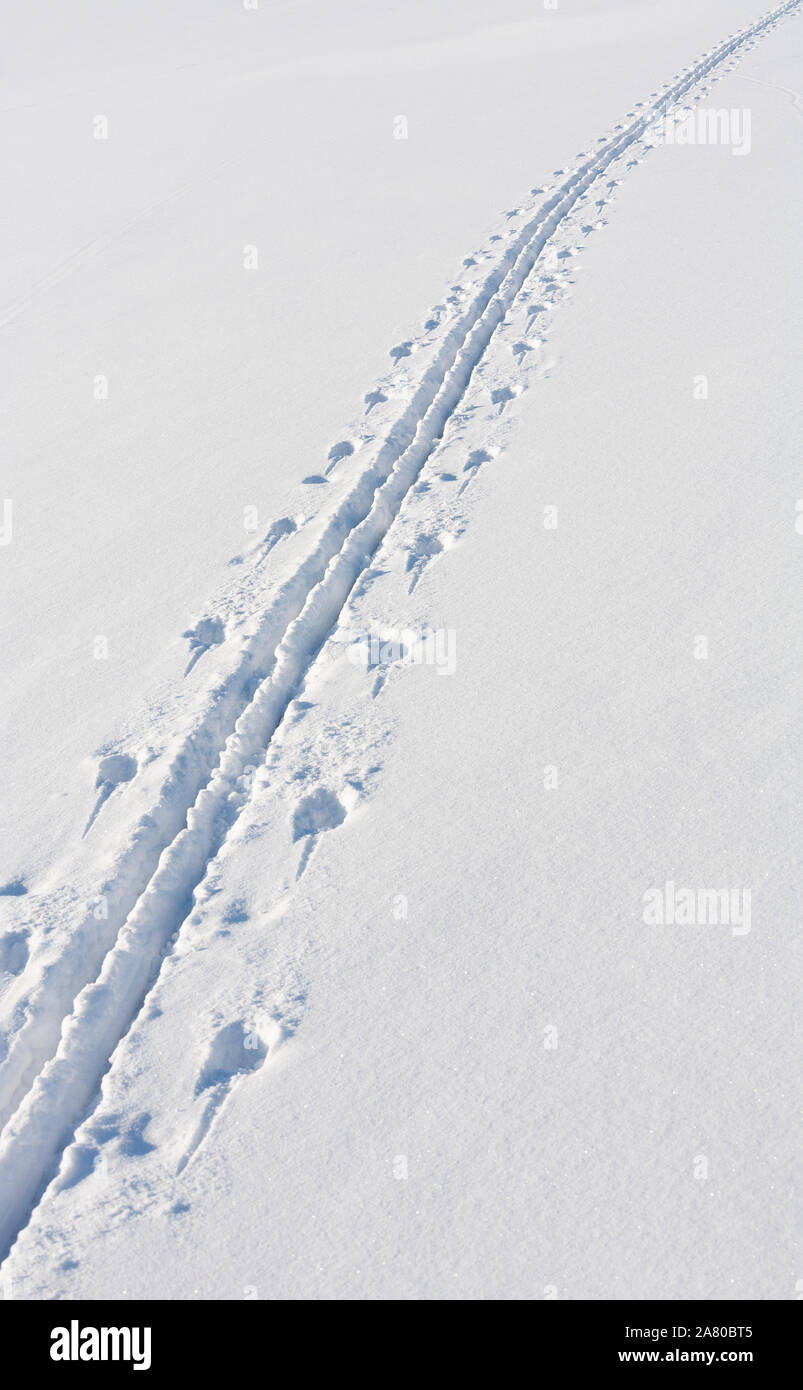 White diagonal cross hi-res stock photography and images - Alamy