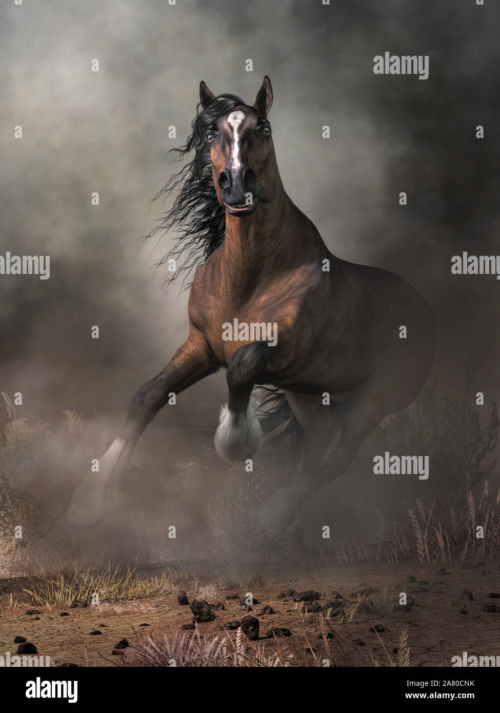 Angry wild horse hi-res stock photography and images - Alamy