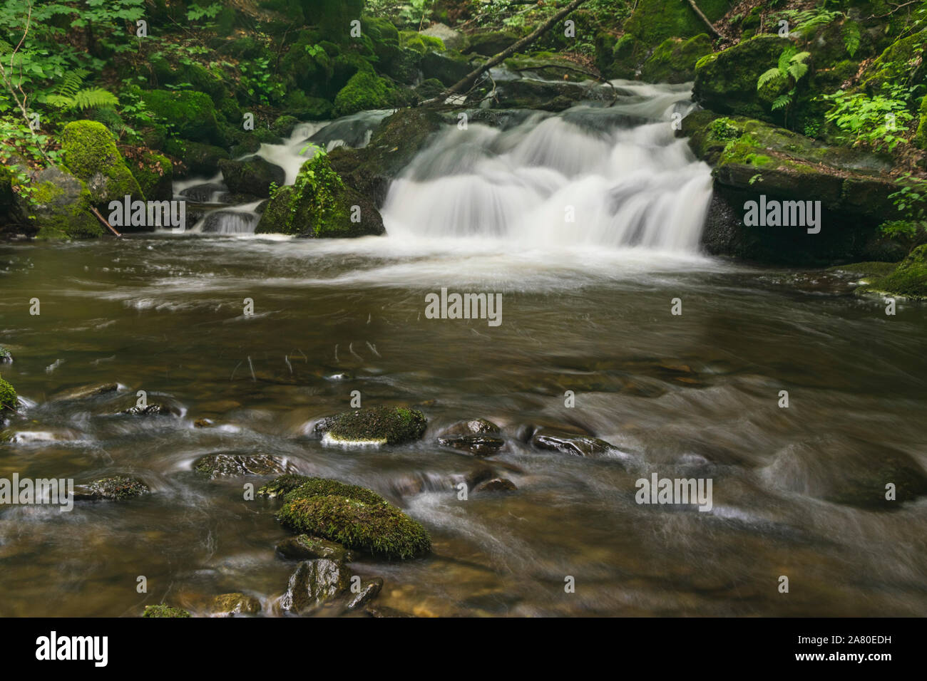Landscape of beautiful clean mountain river making waterfall deep in ...