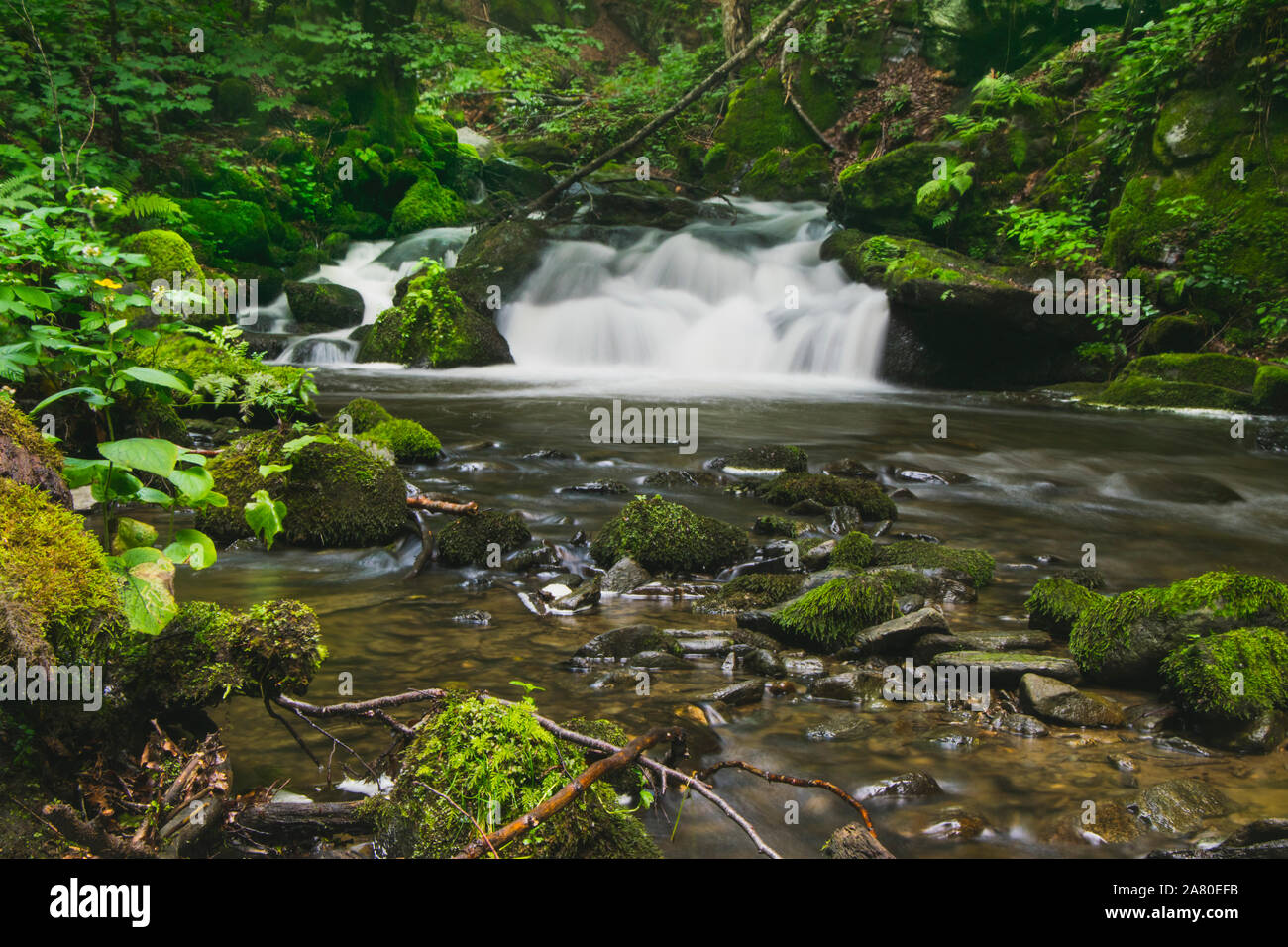 Landscape of beautiful clean mountain river making waterfall deep in ...