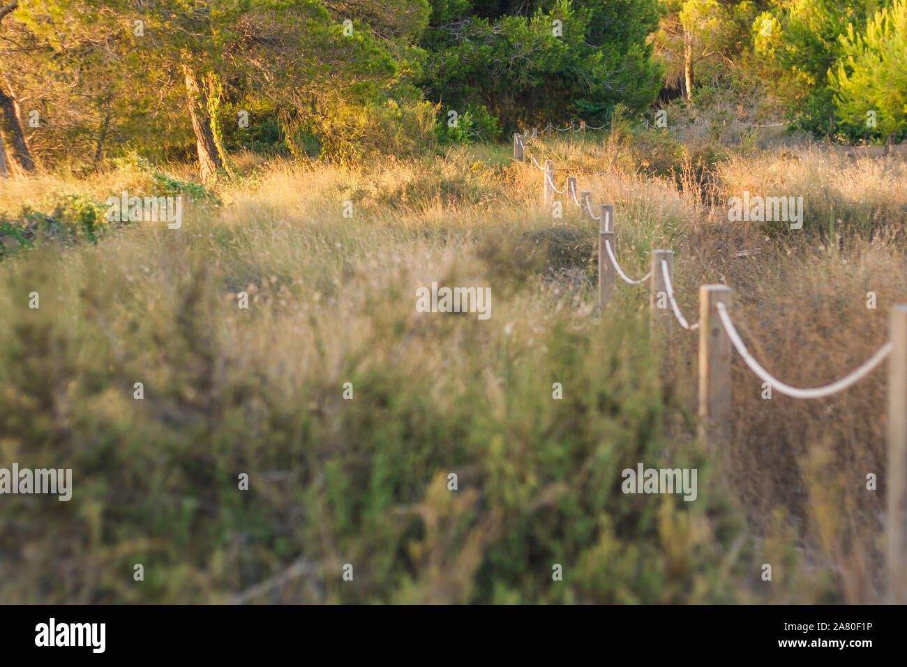 Mediterranean Forest Ecosystem Stock Photos & Mediterranean Forest ...