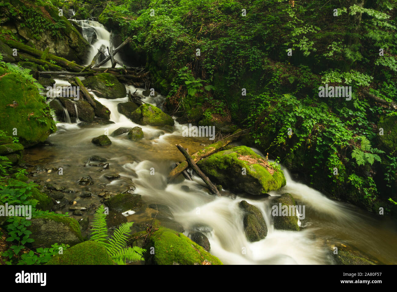 Landscape of beautiful clean mountain river making waterfall deep in ...