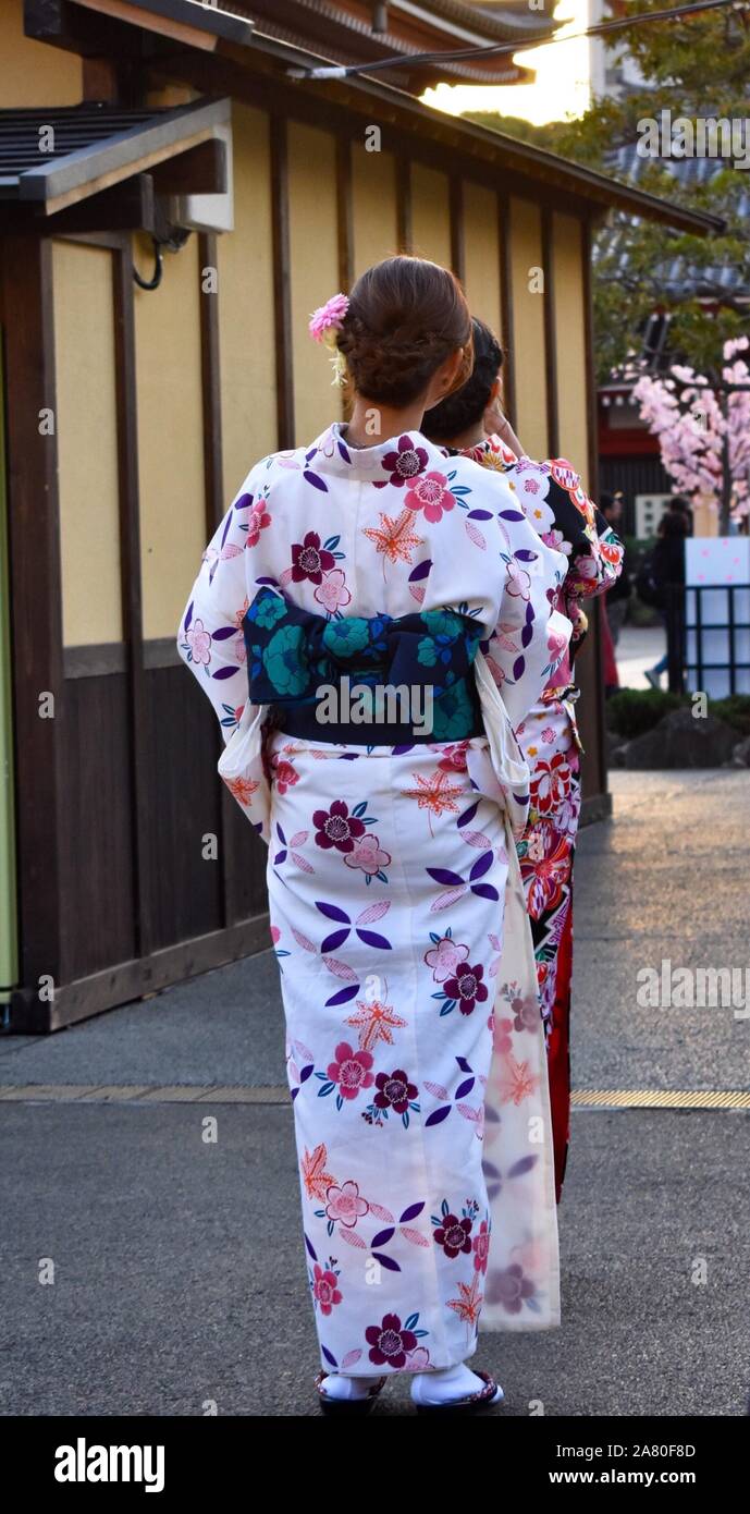 Geisha show tokyo hi-res stock photography and images - Alamy