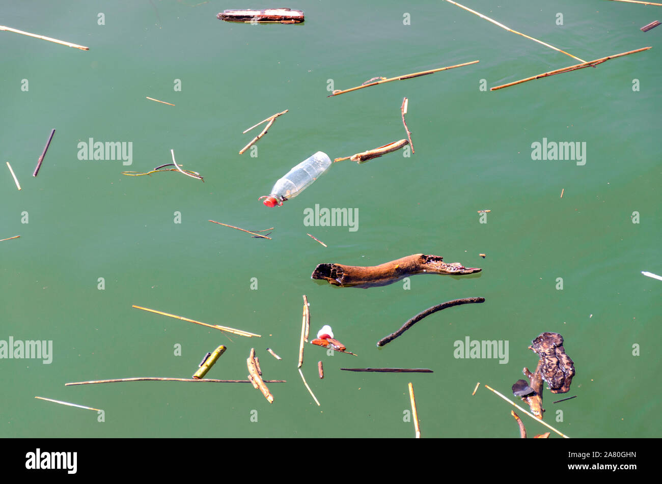 Close up of a plastic bottle and debris floating on water in a concept ...