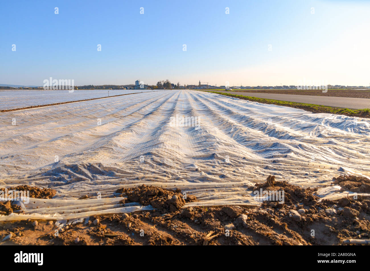 Agricultural plastic sheet hi-res stock photography and images - Alamy