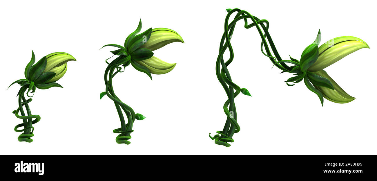 Three vegetation stages Cut Out Stock Images & Pictures - Alamy