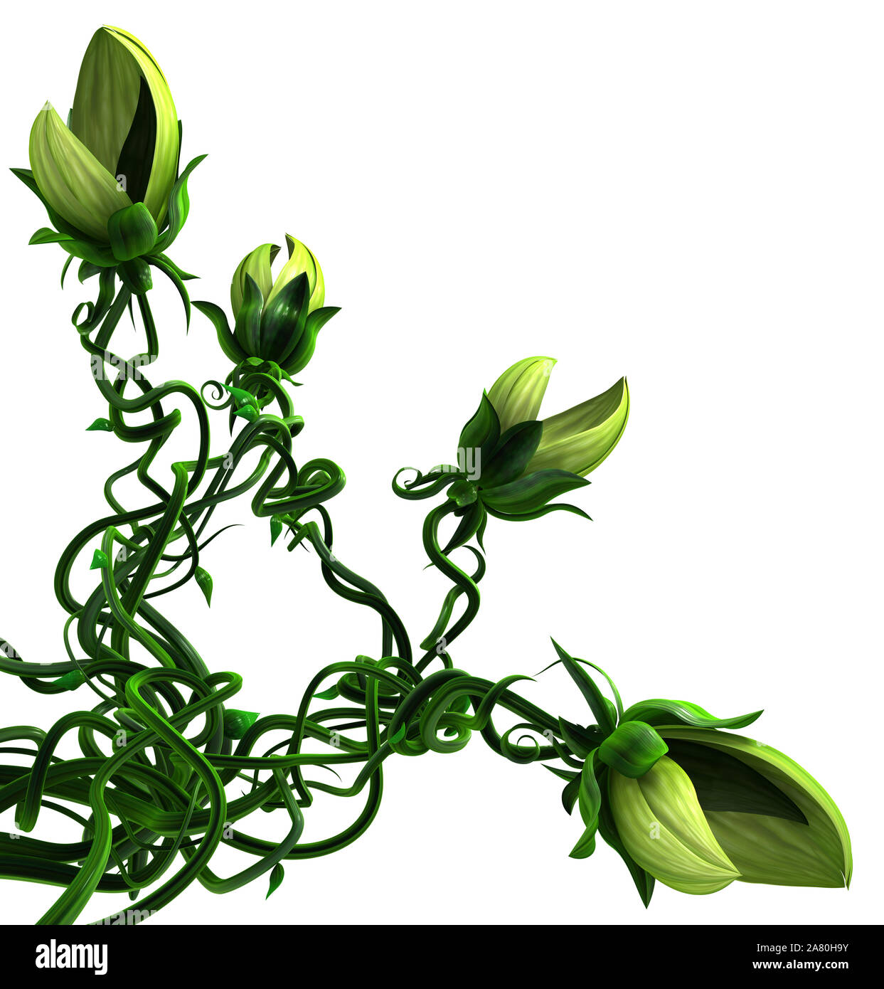 Plant biting vine growing four heads, 3d illustration, horizontal ...