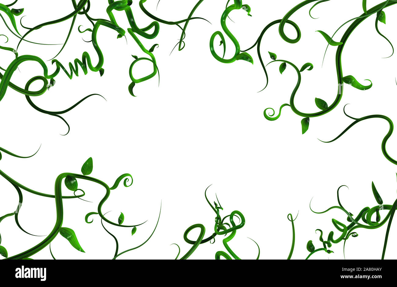 Plant vines green growing twisting tendrils edge, 3d illustration ...