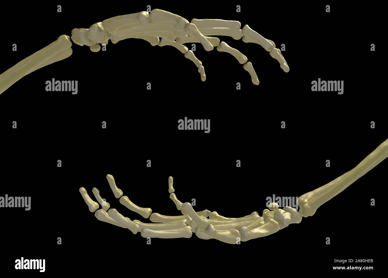 3d framing hi-res stock photography and images - Alamy