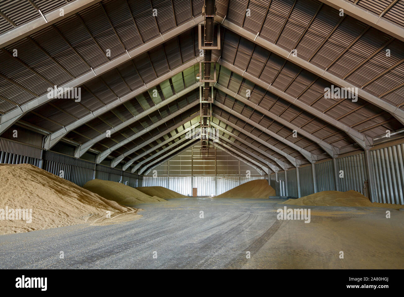View inside a large grain drying store, awaiting the delivery of grain ...