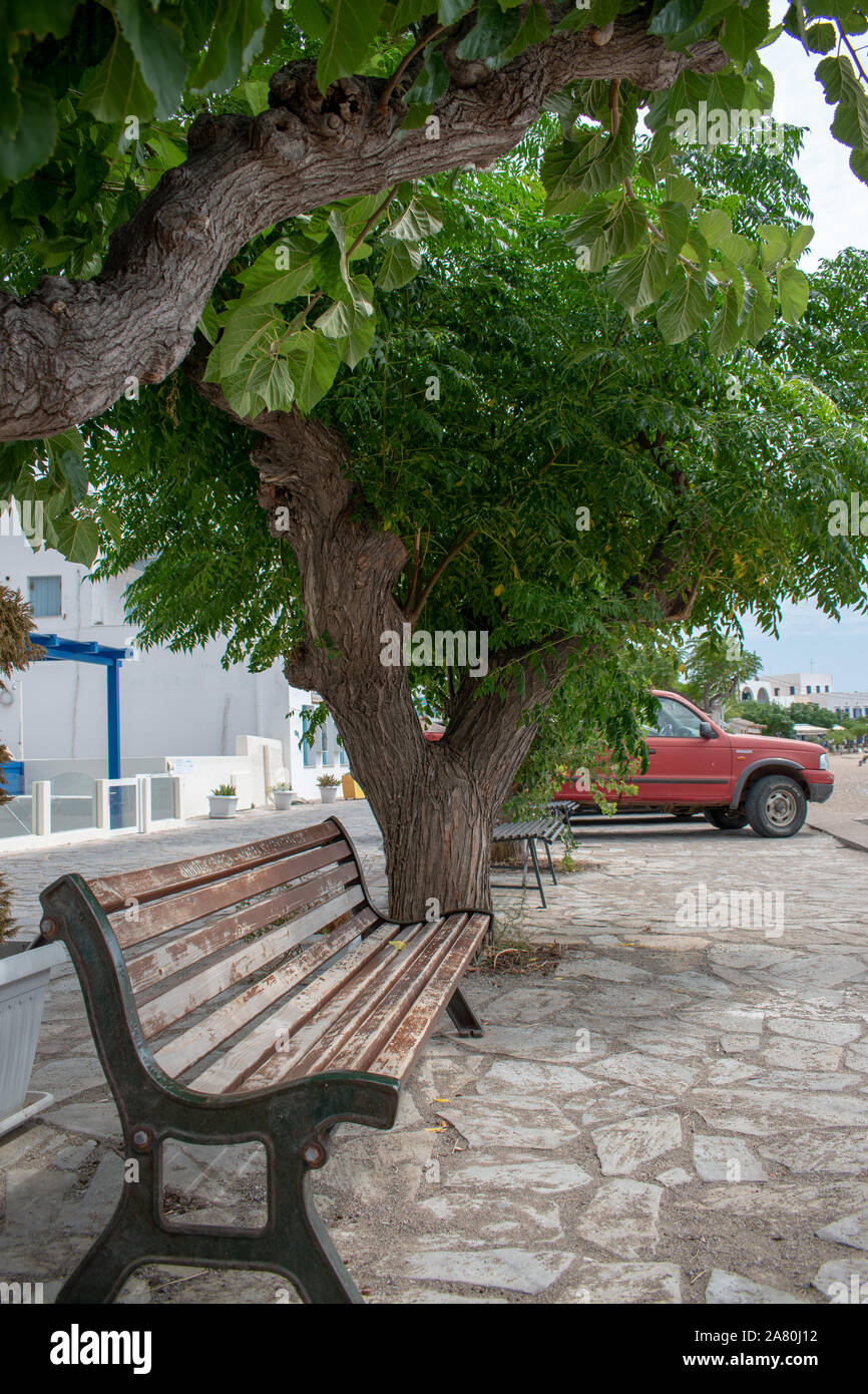 Bench under big trees hi-res stock photography and images - Alamy