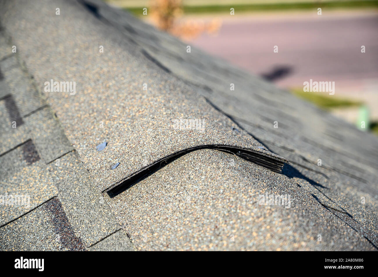 Asphalt shingle room with ridge cap Stock Photo - Alamy