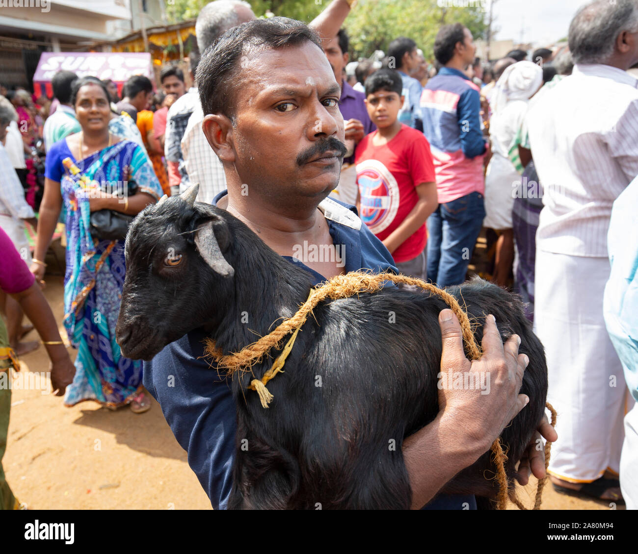 Man holding goat hi-res stock photography and images - Alamy