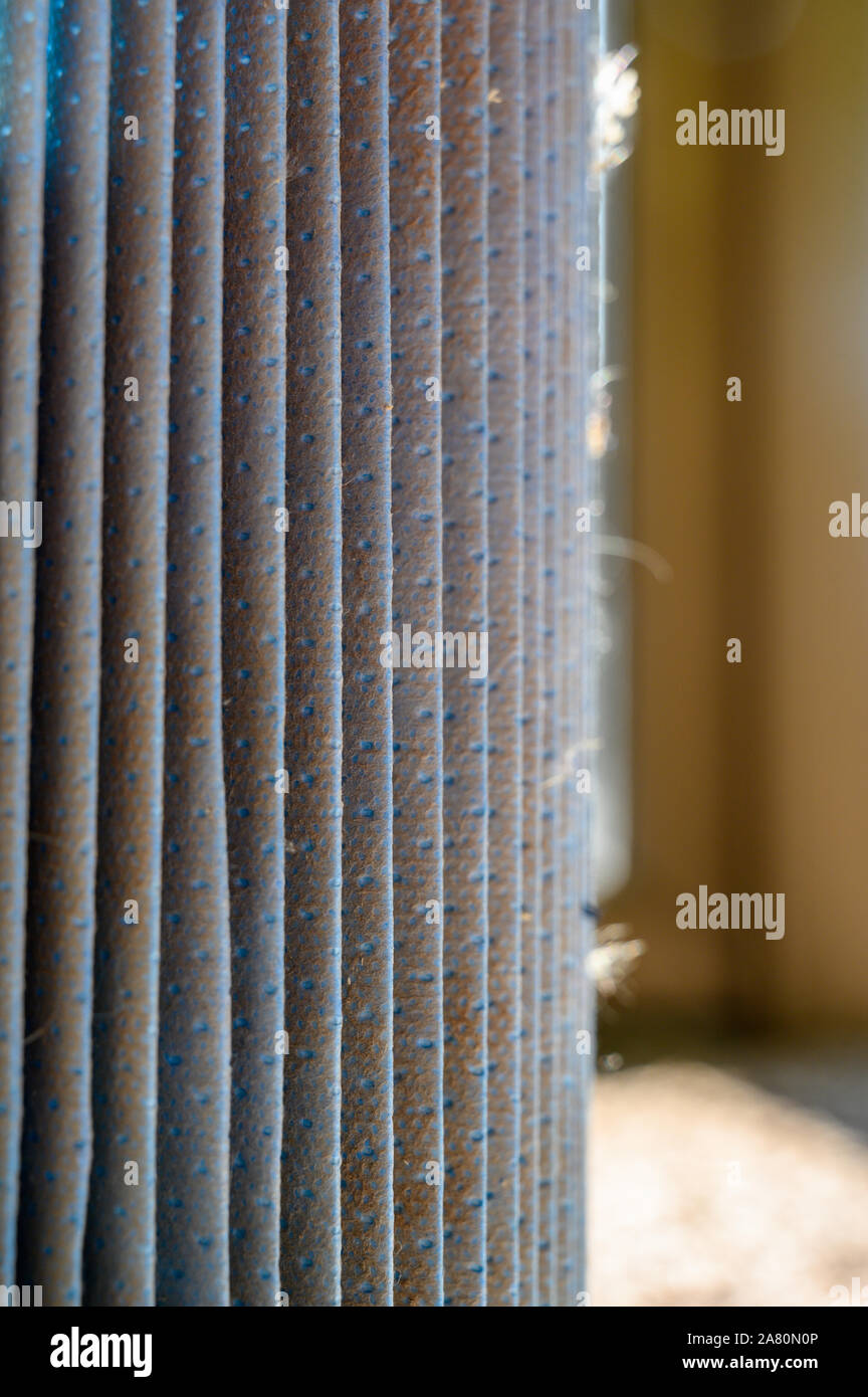 Shop vacuum cartridge air filter with wood chips captured Stock Photo ...