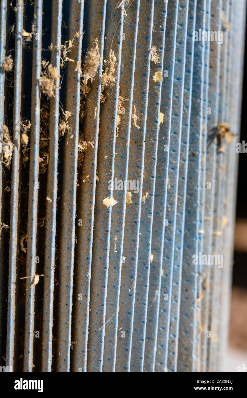 Shop vacuum cartridge air filter with wood chips captured Stock Photo ...