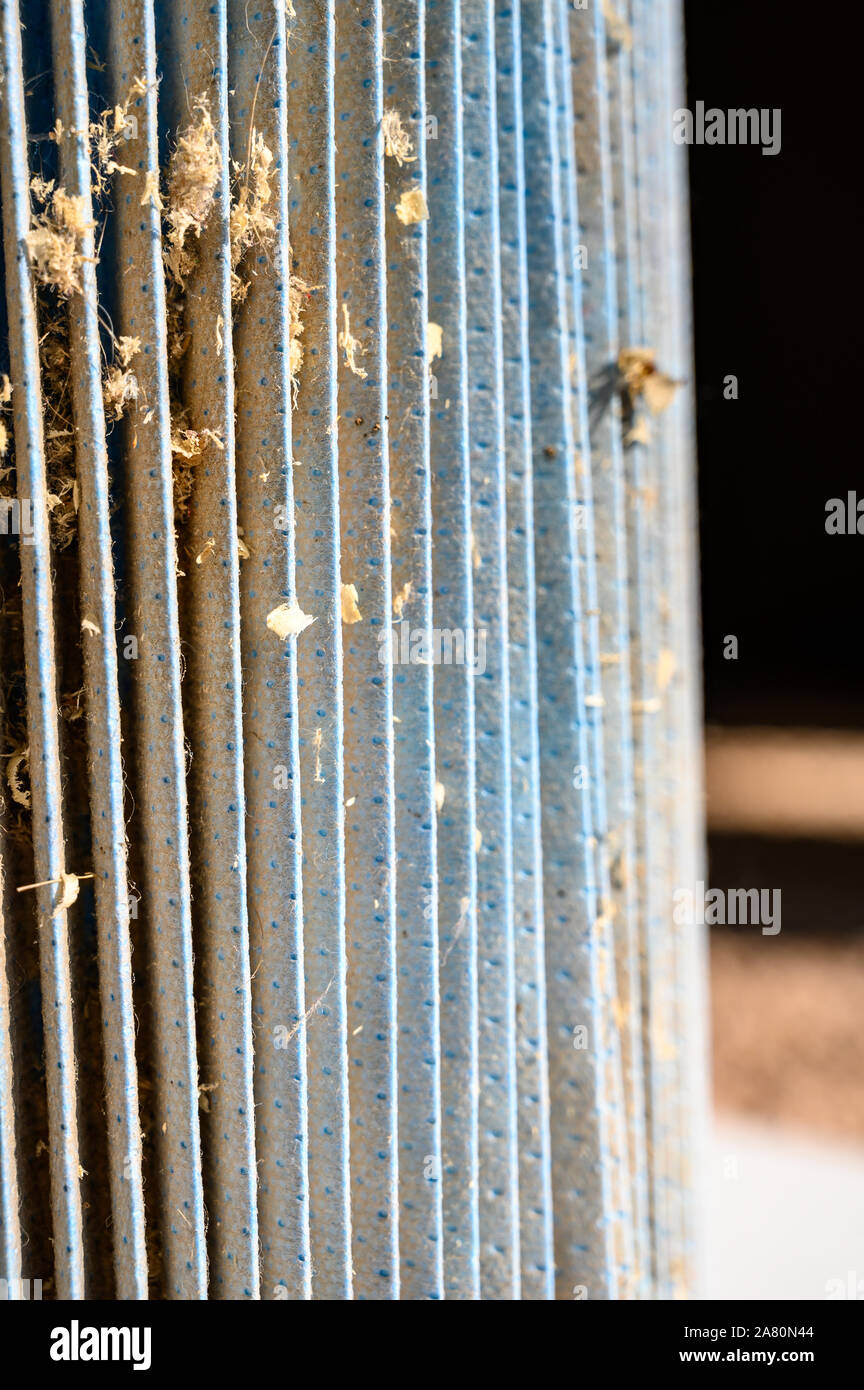 Shop vacuum cartridge air filter with wood chips captured Stock Photo ...