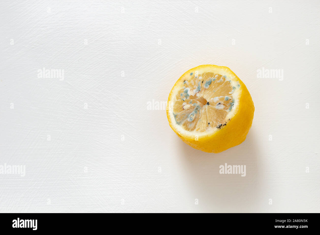 Ugly food. Half of spoiled lemon with fungus on a white background ...