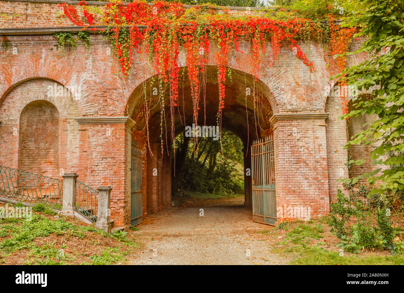 an entrance to a park in the fall /the colorful foliage of beech tree ...